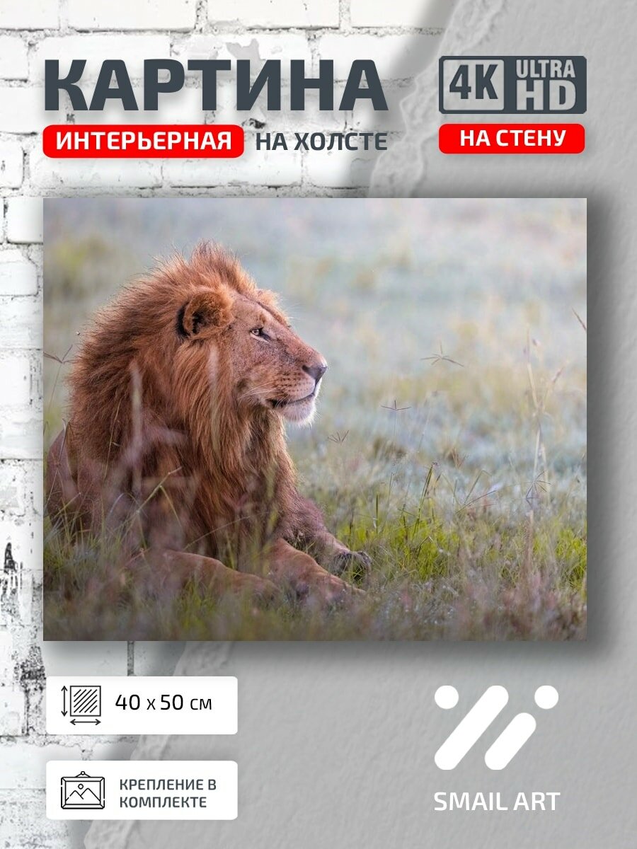 Картина на холсте интерьерная 40 на 50 на стену Лев Хищник для офиса атмосфера