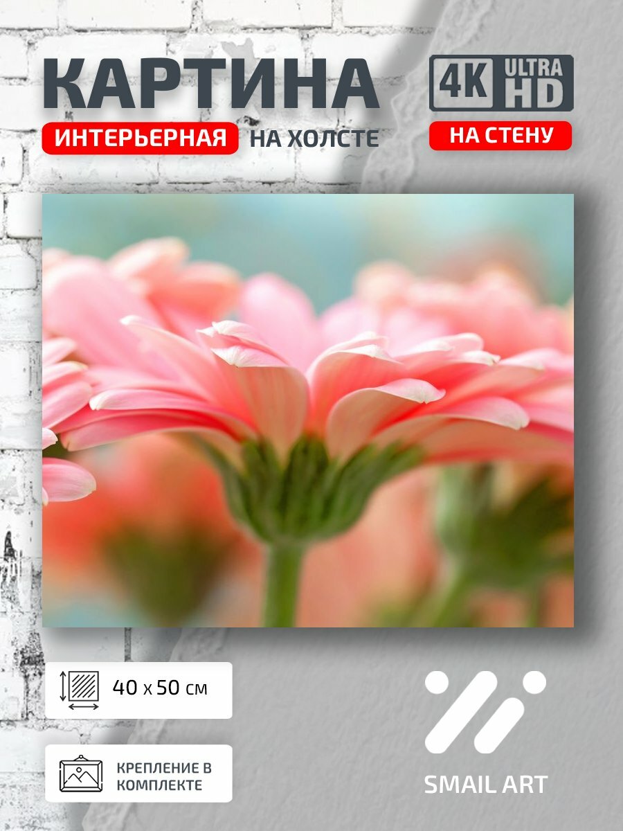 Картина на холсте интерьерная 40 на 50 на стену Розовый Mood для кабинета атмосфера декор