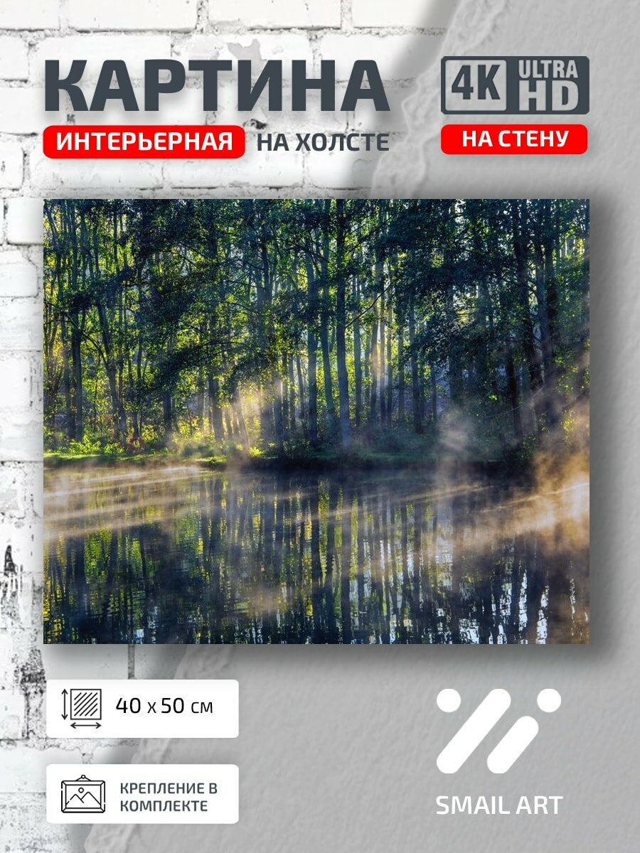 Картина на холсте интерьерная 40 на 50 на стену Лесной лес для кафе пейзаж