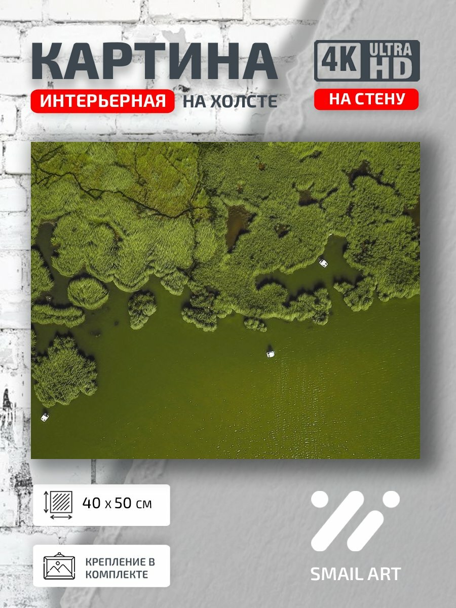 Картина на холсте интерьерная 40 на 50 на стену Зелень Landscape для офиса пейзаж интерьер