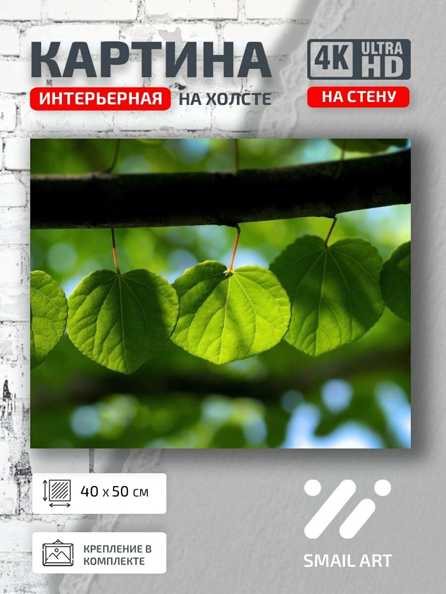 Картина на холсте интерьерная 40 на 50 на стену ряд ветке для спальни атмосфера