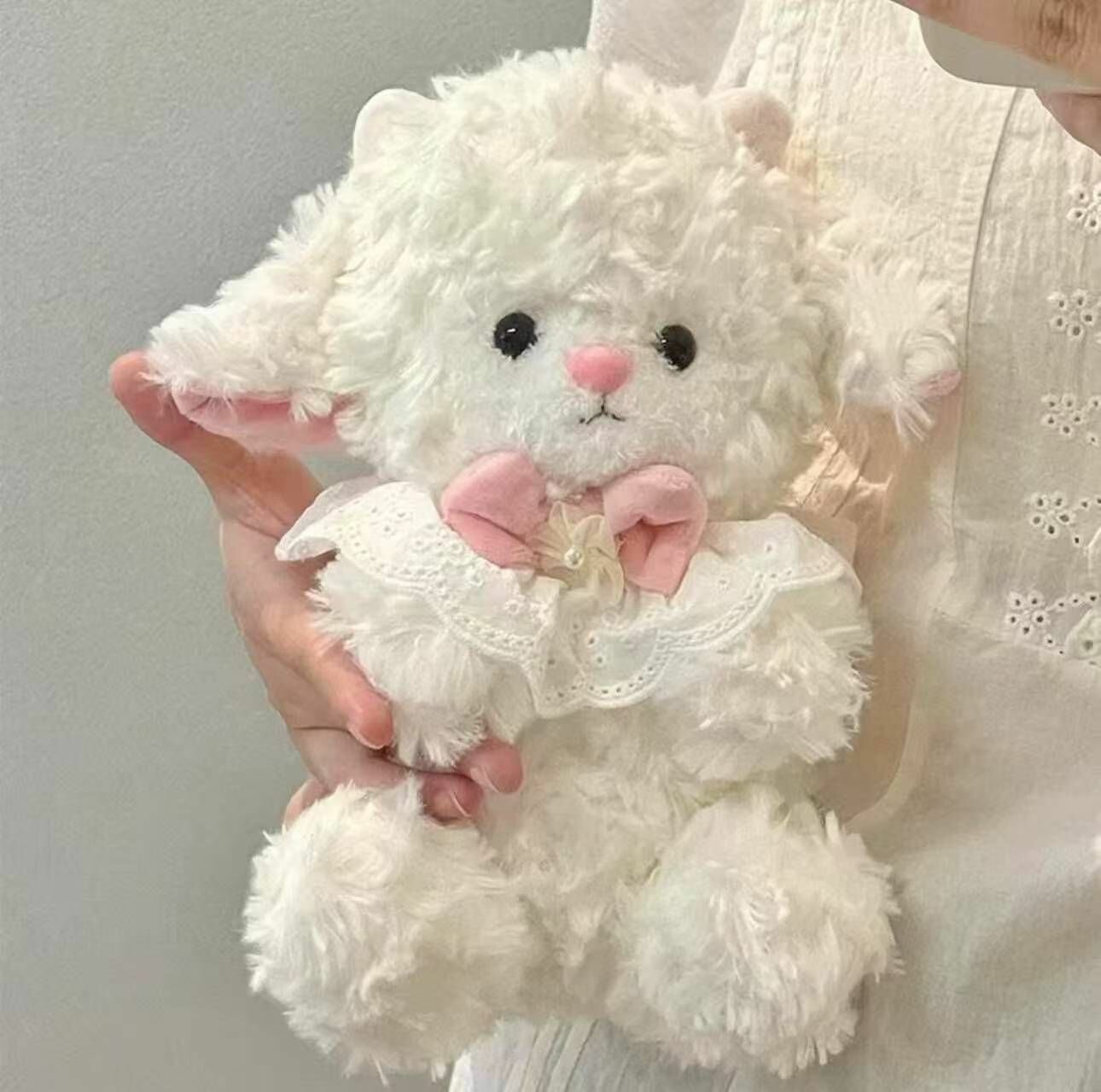 Маленький ягненок барашек овечка