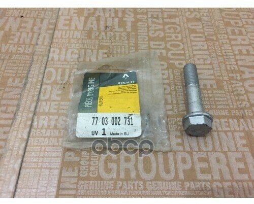 Болт RENAULT арт. 7703002731
