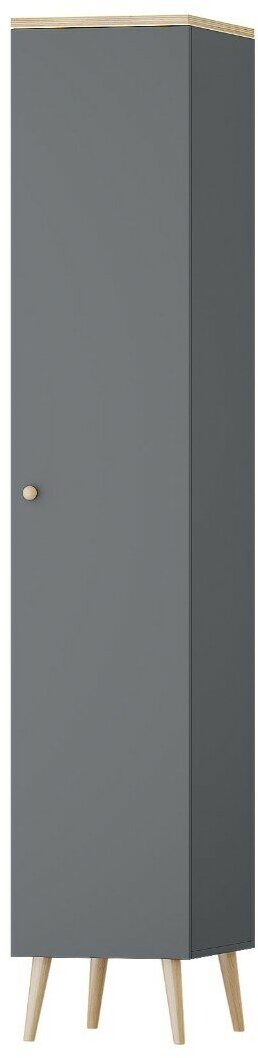 Шкаф пенал, для одежды Эйлин, Легкомаркет, правый, 50х52х200, платяной, графит