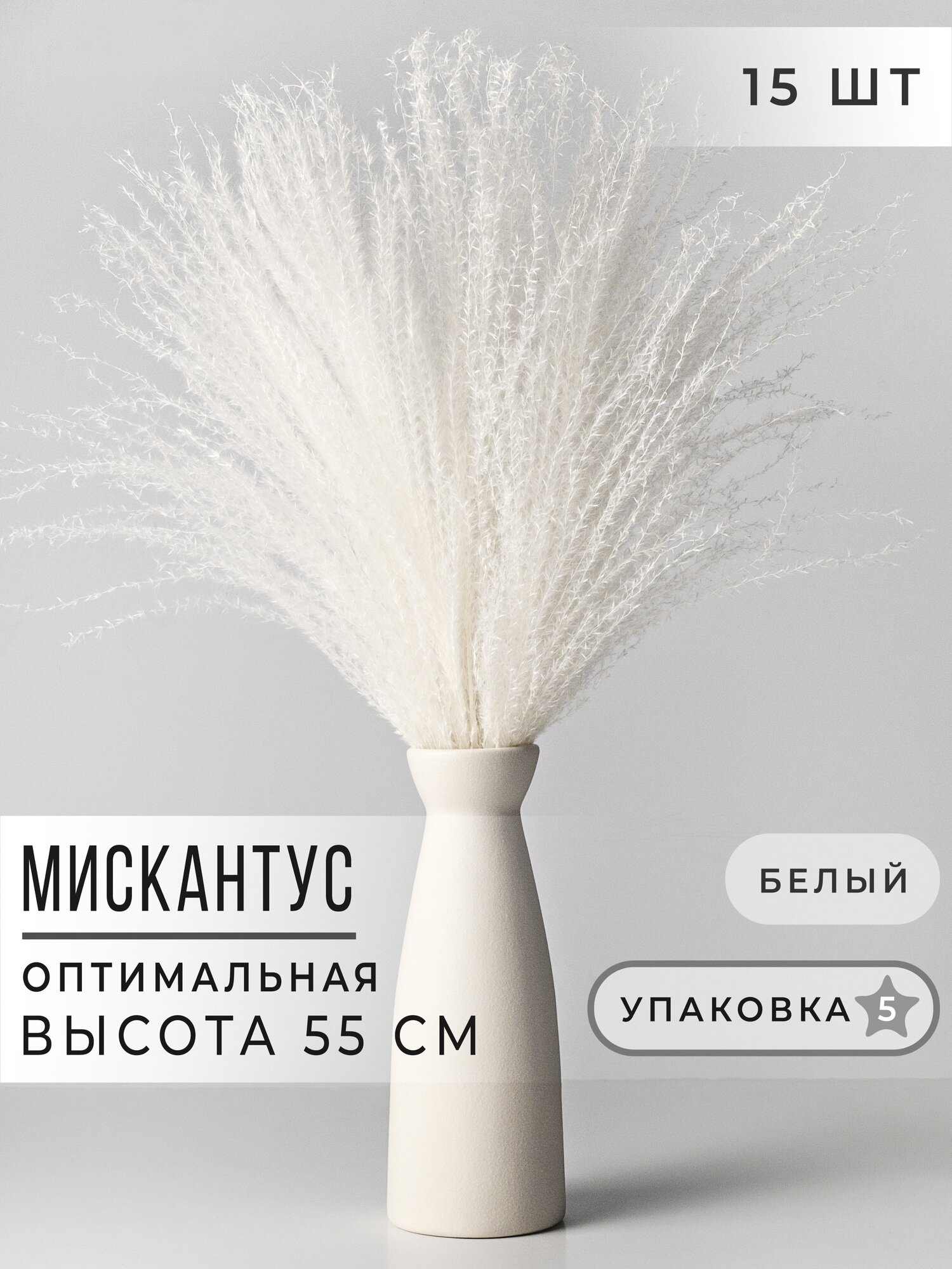 Мискантус Пампасная трава белая 15 шт, Сухоцветы для декора ARANTA, Букет 55 см