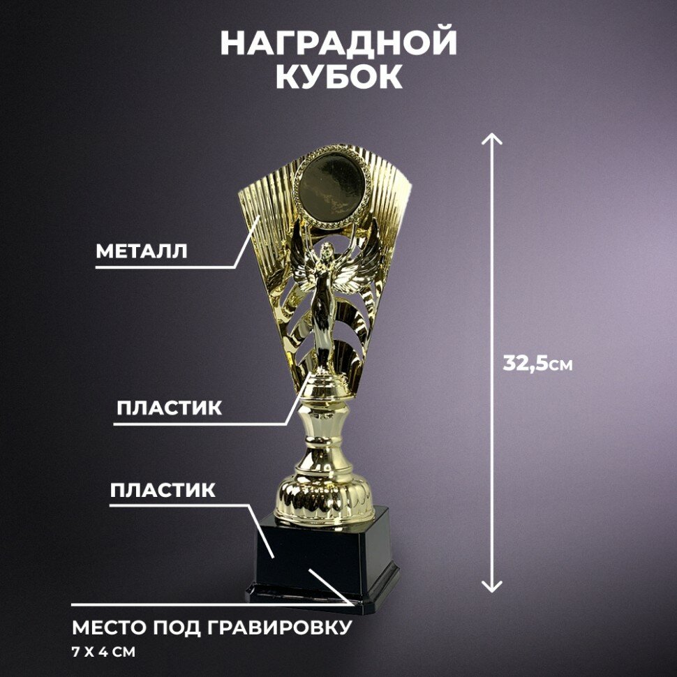 Наградной спортивный кубок на пластиковом постаменте (32,5 см)