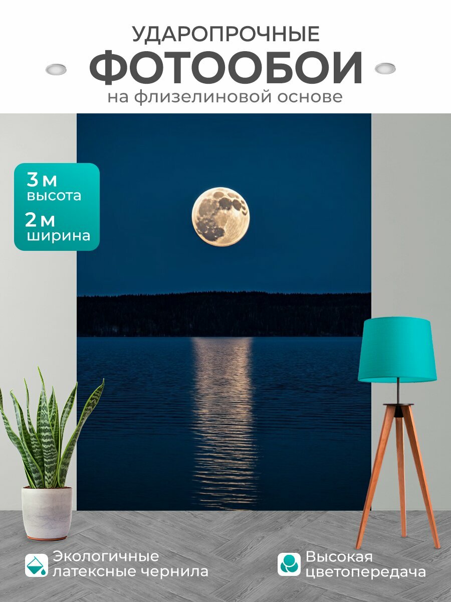 Фотообои моющиеся ударопрочные "Луна над спокойным озером" 200x300 см. флизелиновые на стену
