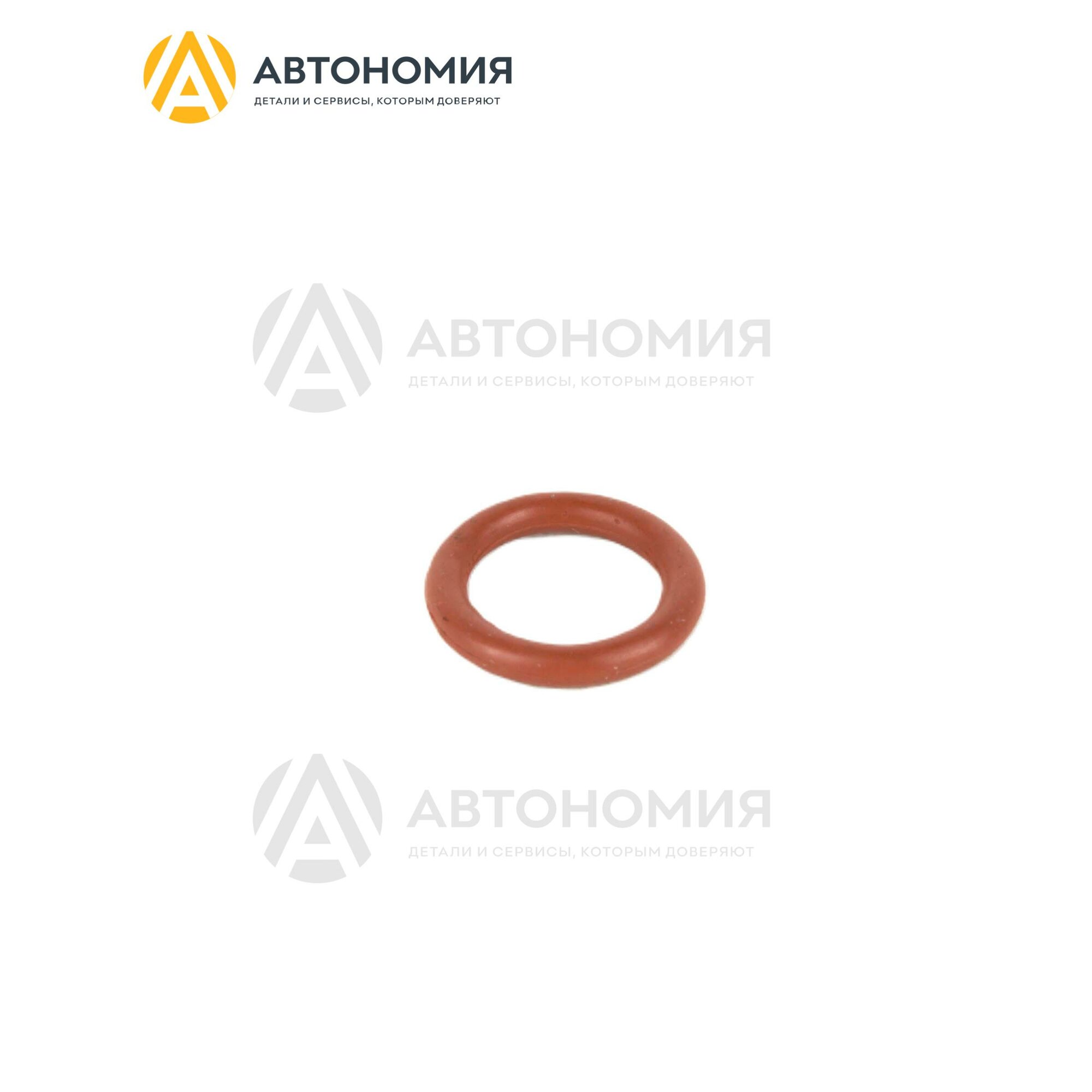 Кольцо уплотнительное болта клапанной крышки General Motors 96353007