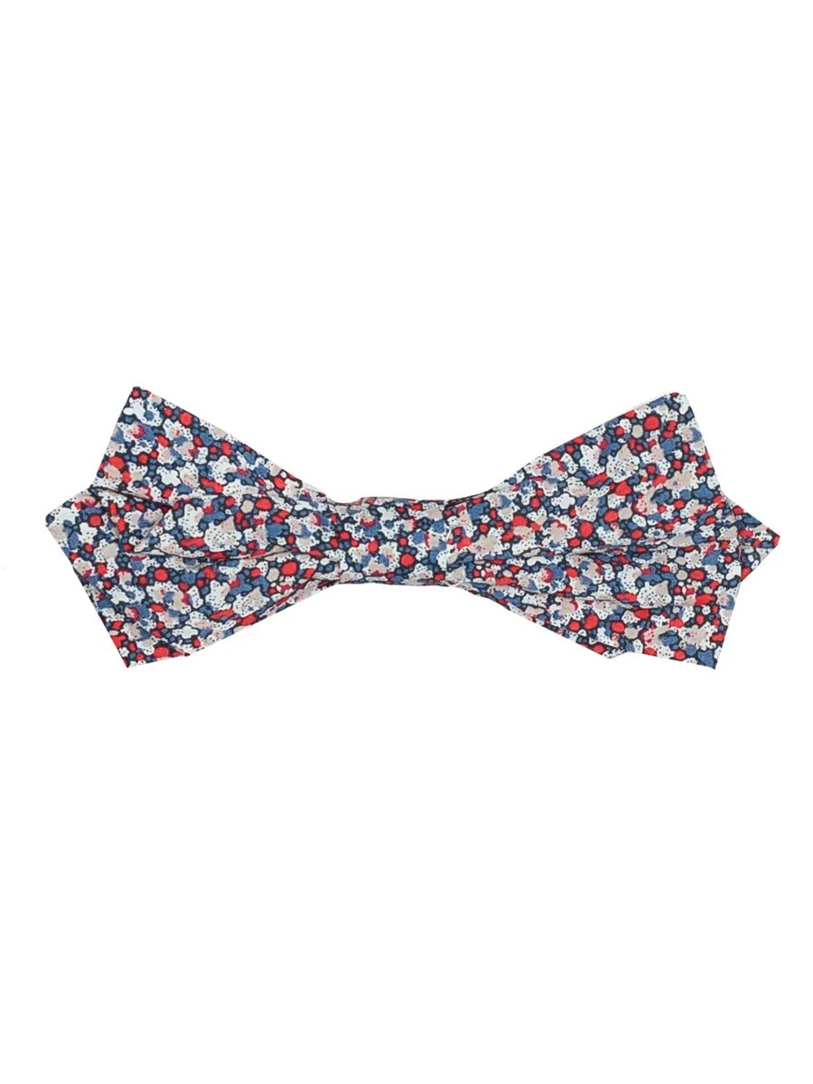 Бабочка Pierre Clarence