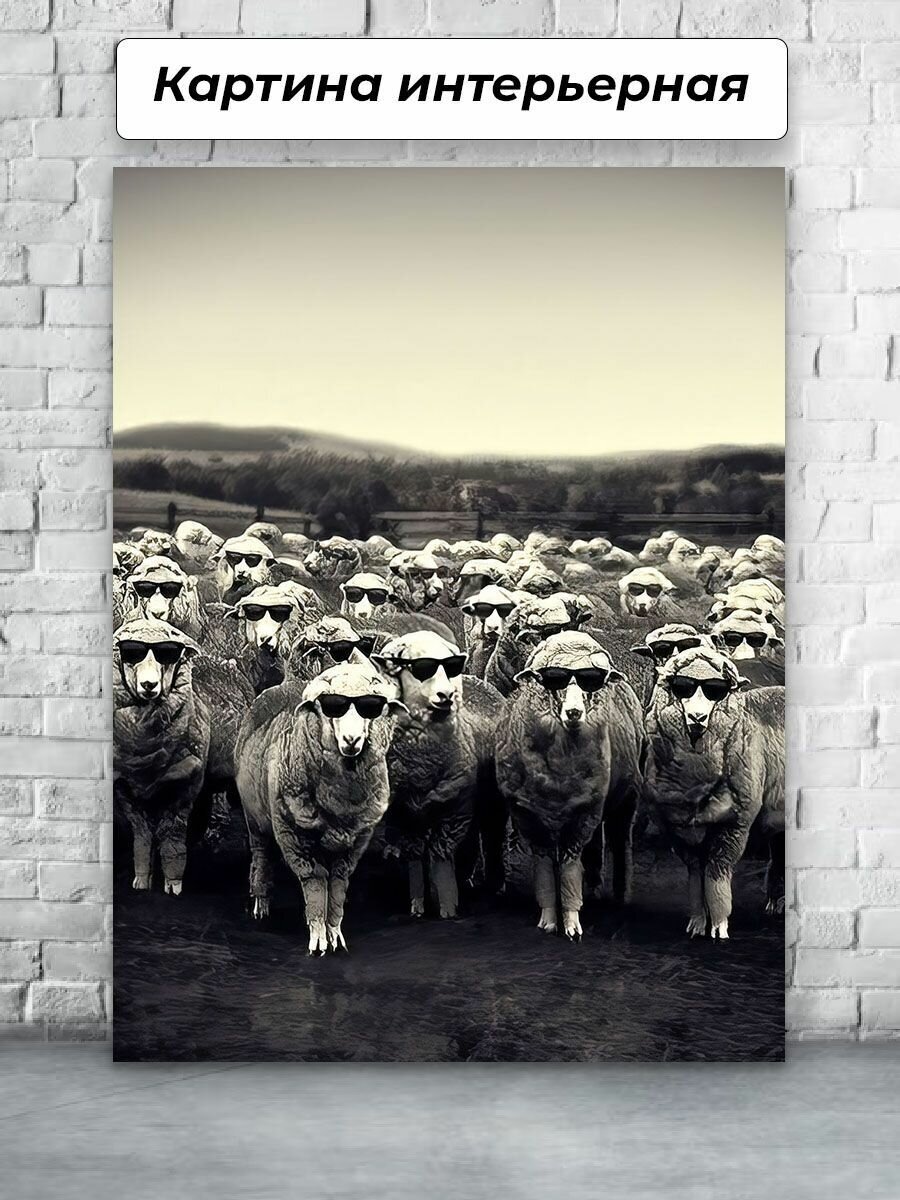 Картины для интерьера 40х60 Овцы Бараны Стадо