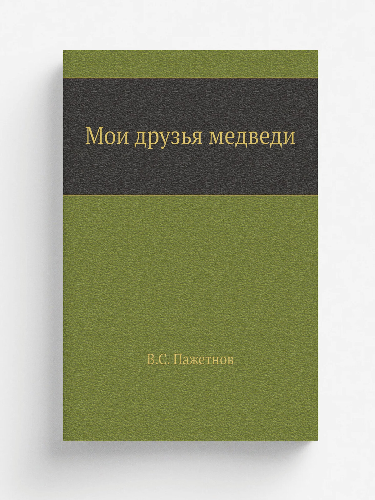 Мои друзья медведи