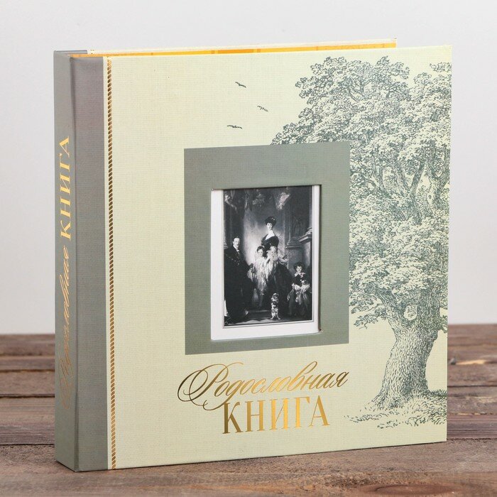Родословная книга с рамкой под фото Семейная, 21.5×23.7 см