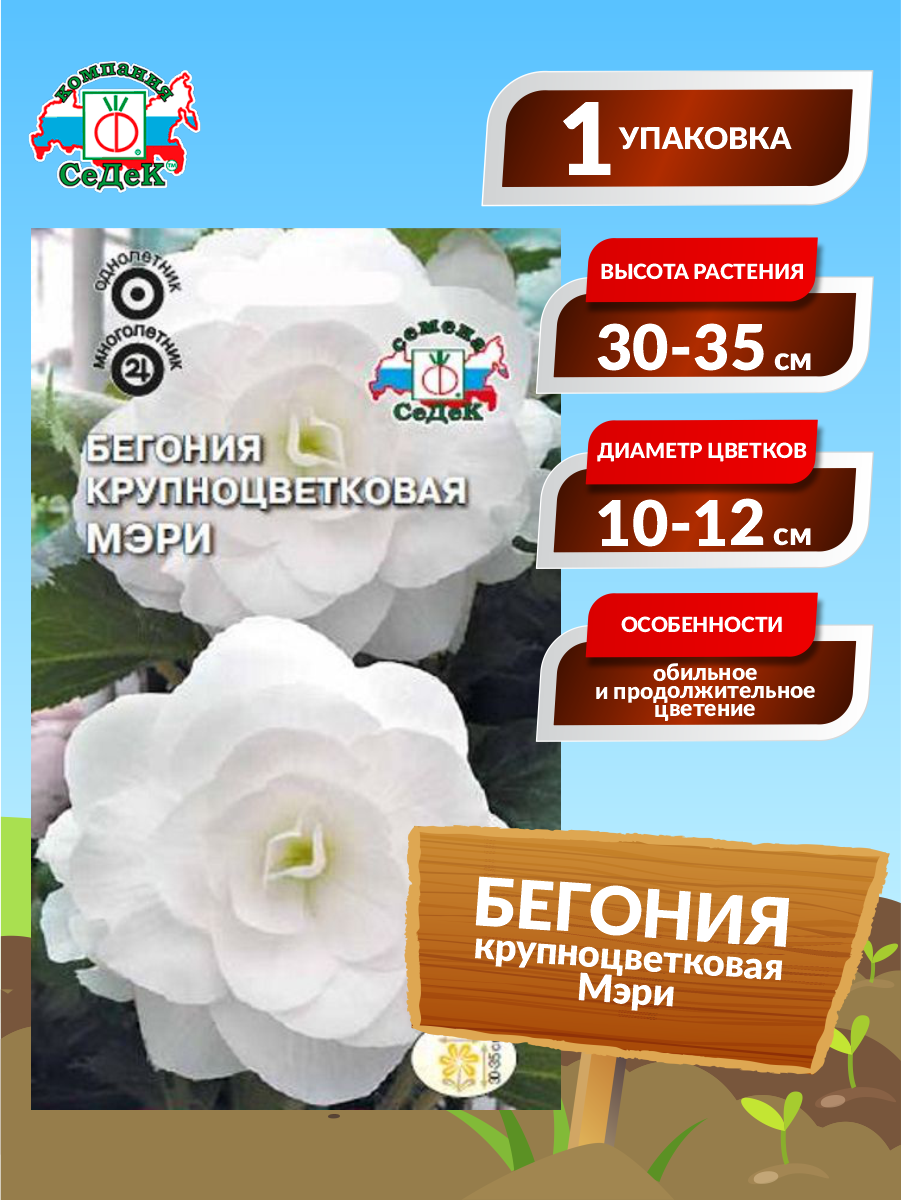 Семена Бегония Мэри Многолетние 10 шт./упак.