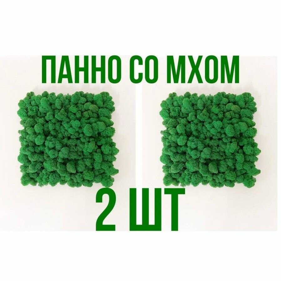 Панно панель со стабилизированным мхом 2 шт 33х33х6 см на стену декоративное для интерьера сухоцветы Molecula Decor