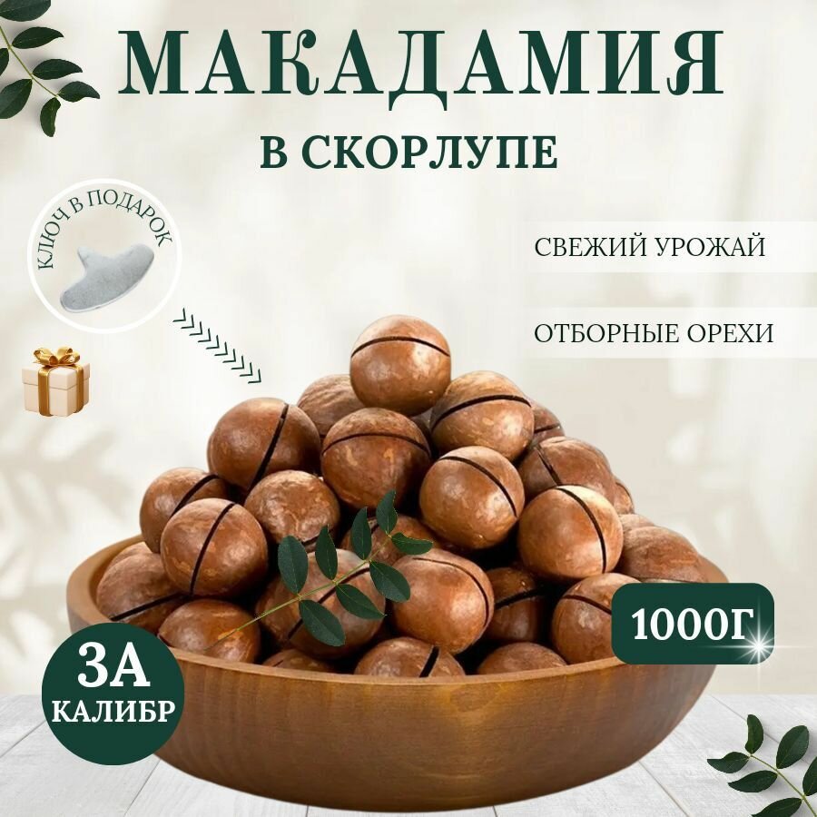 Макадамия в скорлупе, 1кг