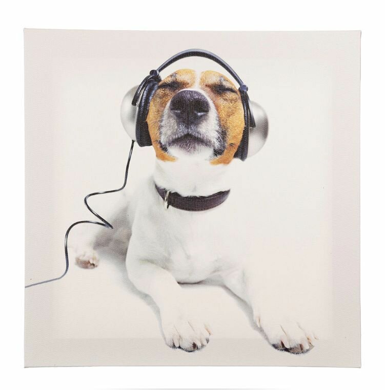 Канвас 30х30 см Собака