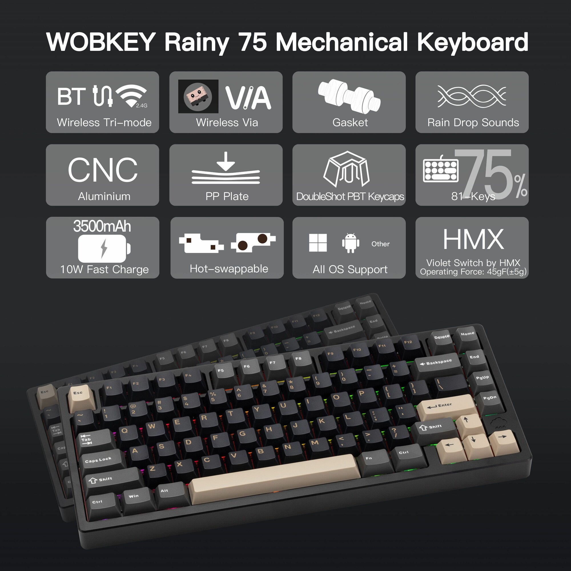Механическая клавиатура WOBKEY Rainy 75 Standard Black - Violet Switch/3500mAh/RGB/PP/Gradient Glass