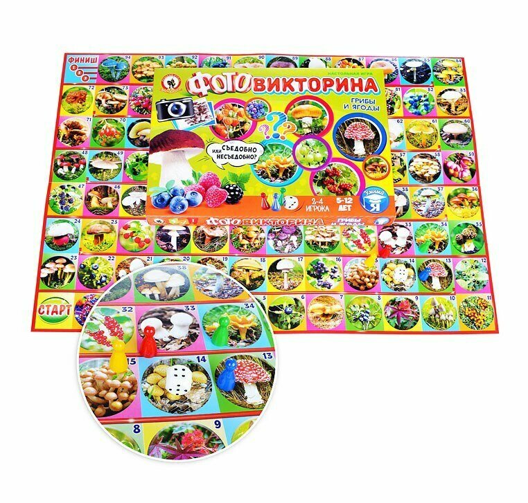 Фотовикторина Русский стиль "Грибы и ягоды" (3435)