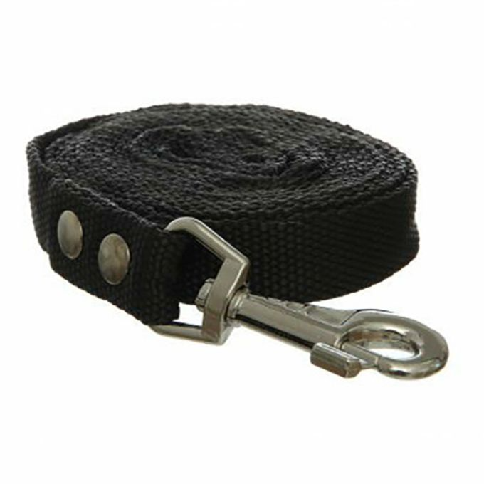 Поводок Зоотехнология-М капроновый для собак ( 25 мм / 5 м )