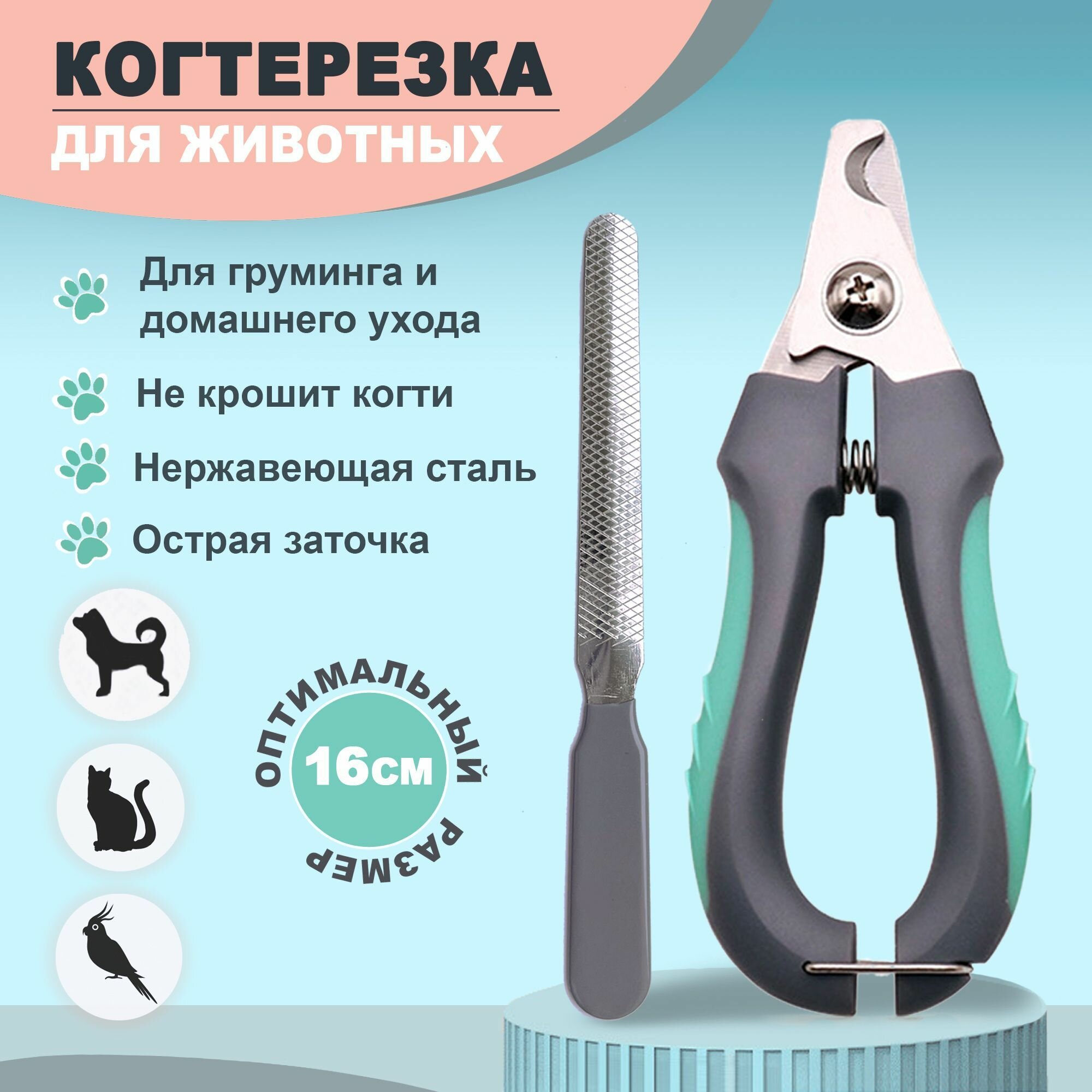 Когтерез