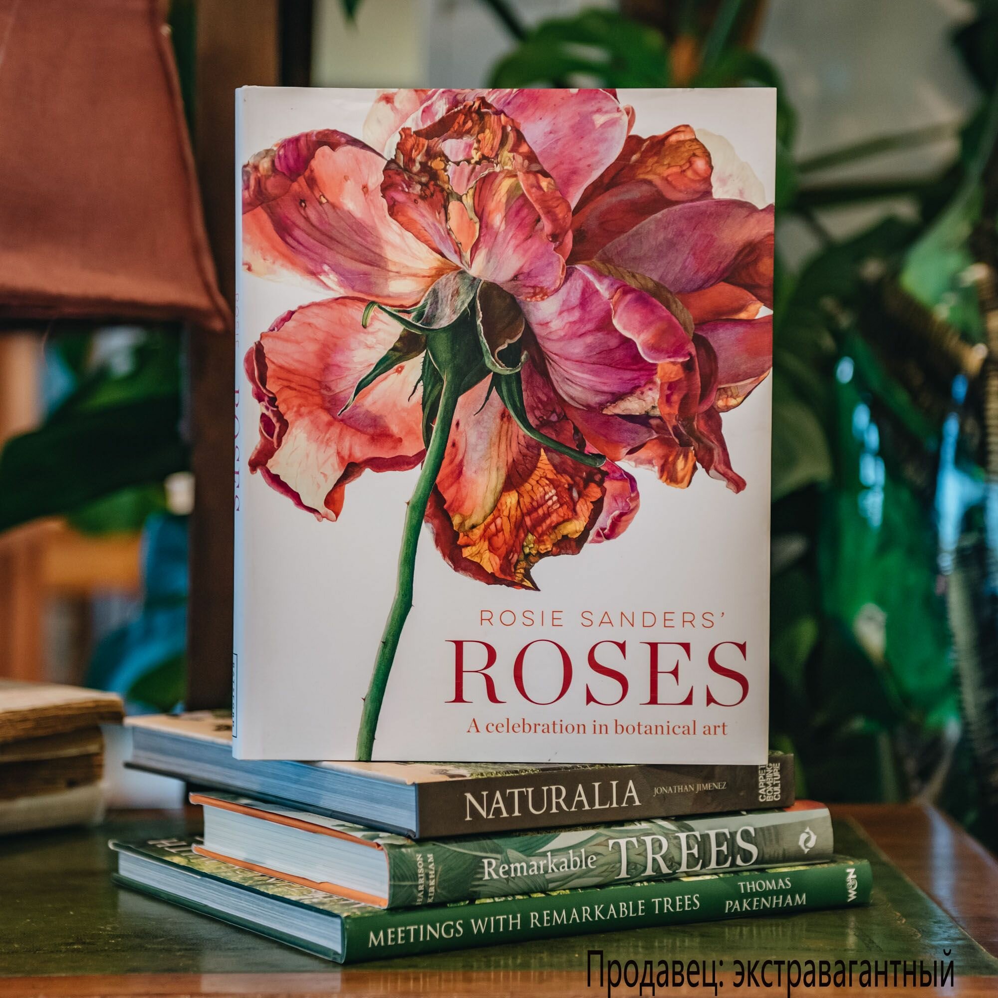 Rosie Sanders' Roses: A Celebration In Botanical Art