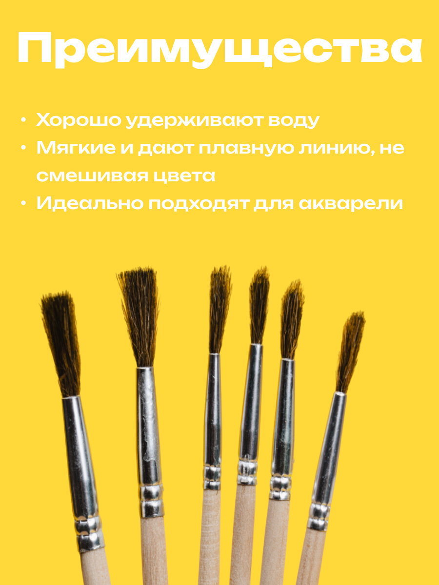 Набор кистей пони 6 штук (круглые:№ 2, 4, 6, 8, 10, 12), с деревянными ручками, на блистере