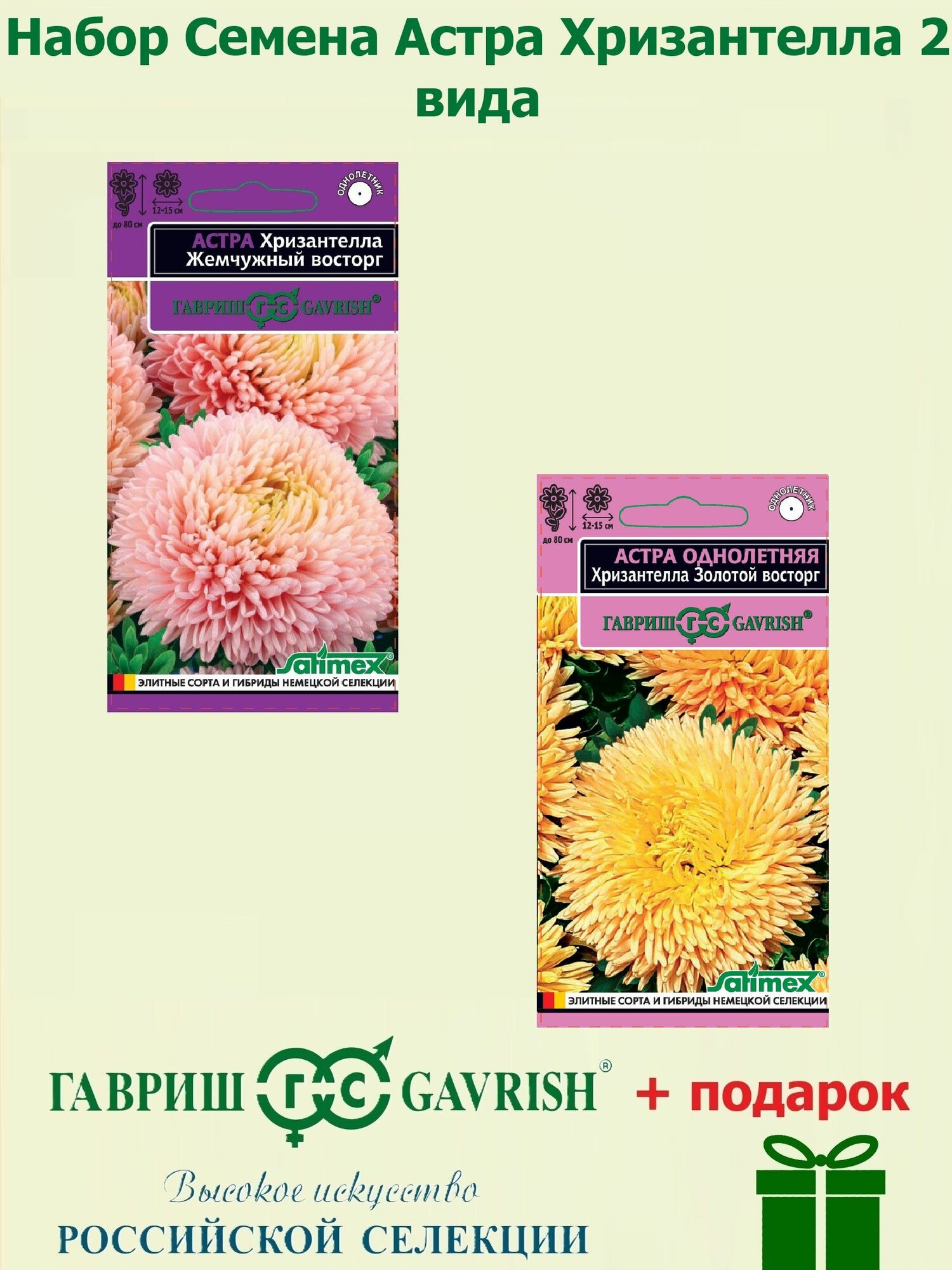 Набор семян Астра Хризантелла 2 вида, Комплект 4
