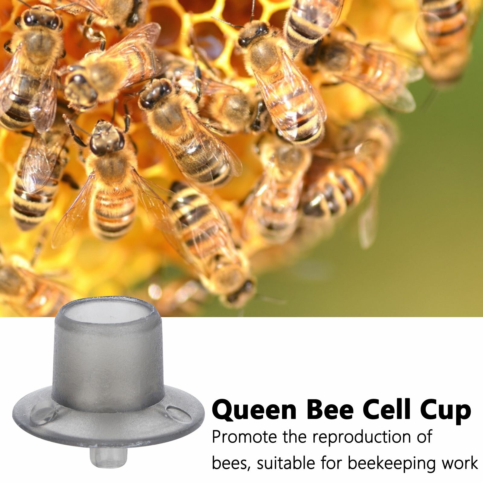 100 шт, пластиковая клетка для разведения пчелиной матки, принадлежности для пчеловодства