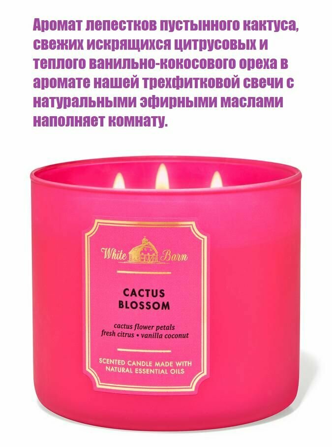 Bath and Body Works свеча ароматическая с 3-мя фитилями Cactus Blossom (411 грамм)