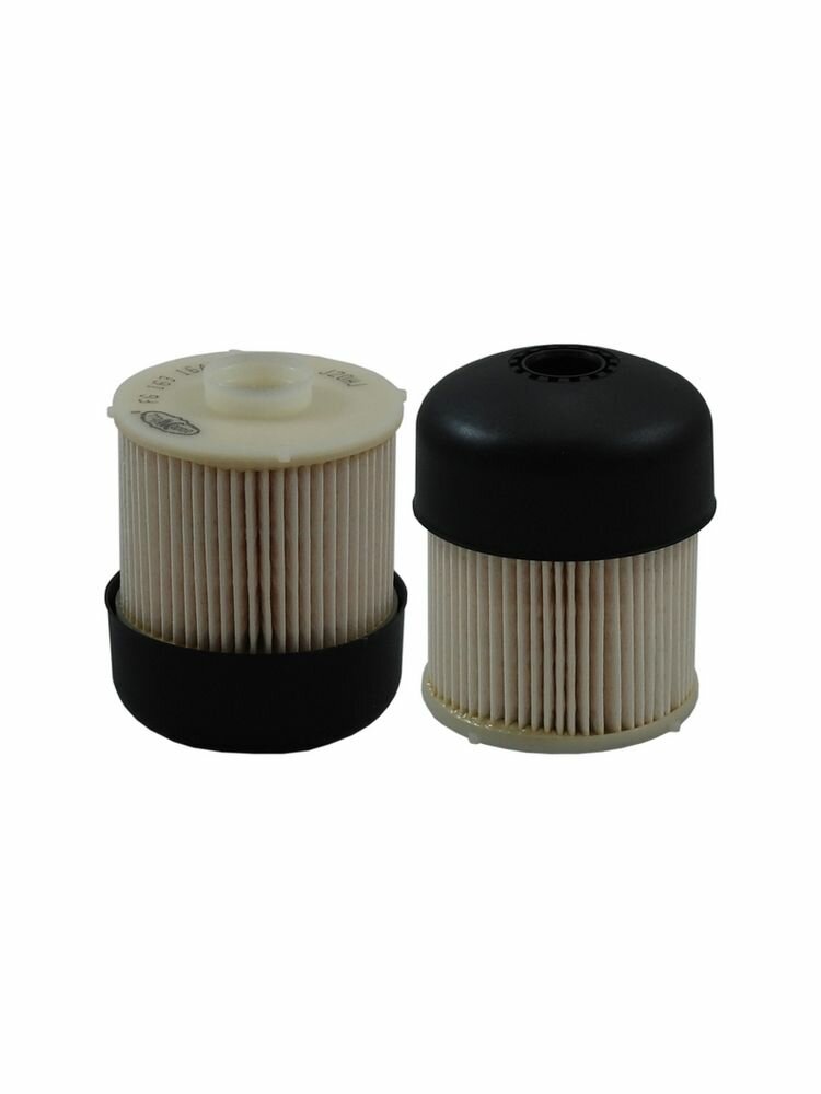 Фильтр топливный Goodwill FG163 для а/м RENAULT Clio, NISSAN Note / Рено Клио, Ниссан Нот