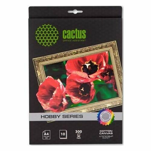 Холст Cactus CS-CA426010, A4, для струйной печати, 10л, 260г/м2
