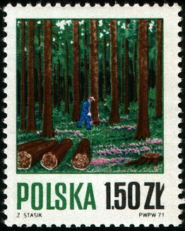 (1971-020) Марка Польша "Вырубка леса" Лесное хозяйство III