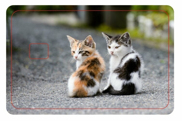 Наклейка на банковскую карту, стикер на карту, мемы, приколы, комиксы, стильная наклейка, животные, котята