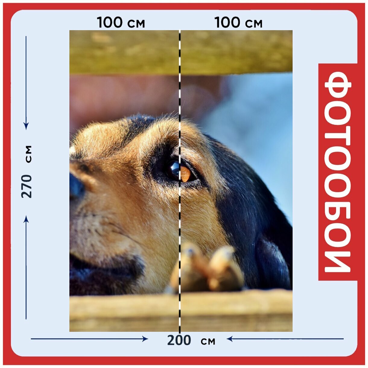 Фотообои "Гибридный, собака, маленькая собака" 200x270 см. флизелиновыена стену
