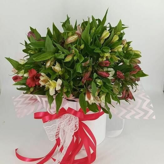 Цветы альстромерии в коробке,25 шт.