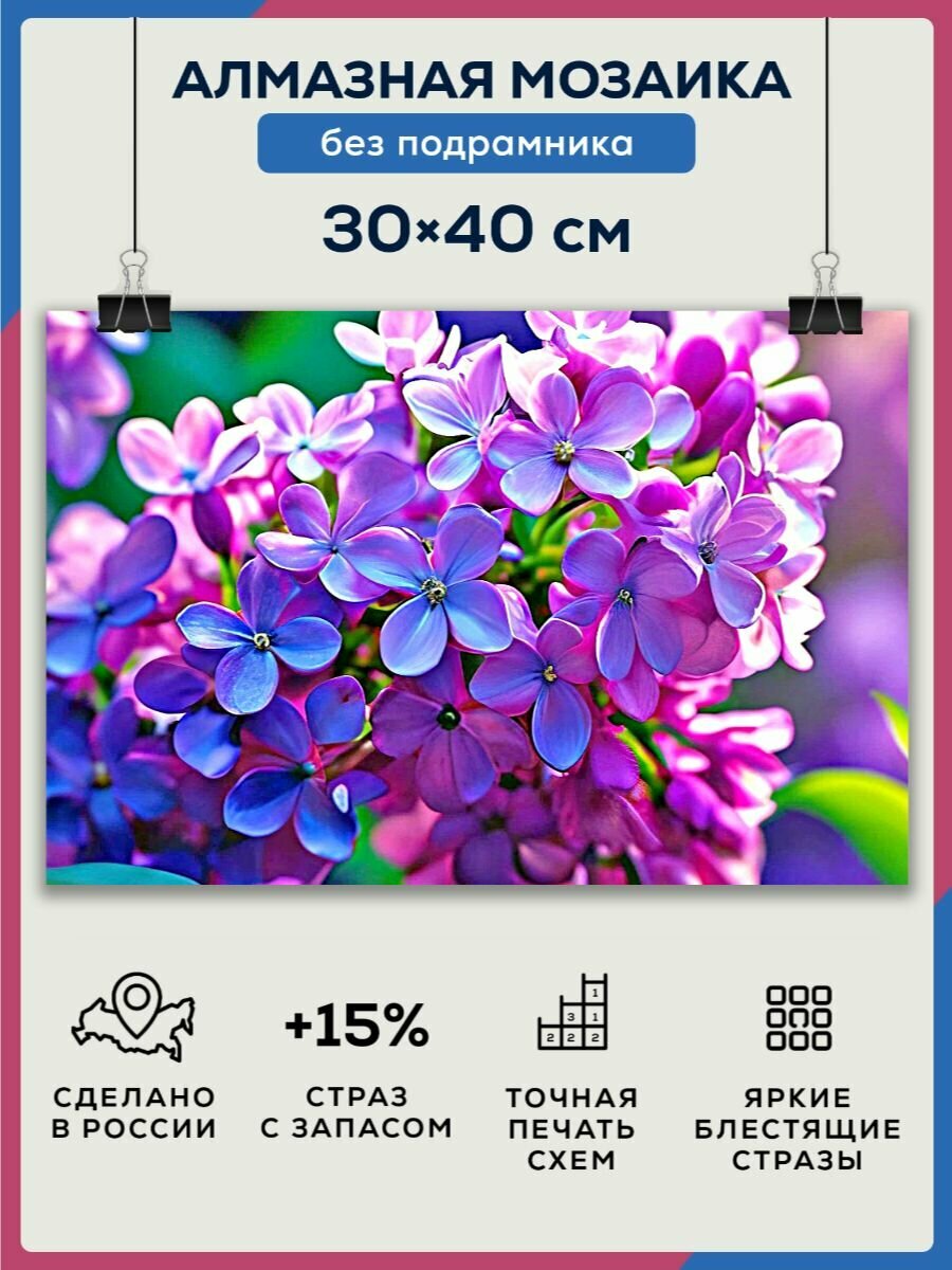 Алмазная мозаика 30x40 Сирень без подрамника