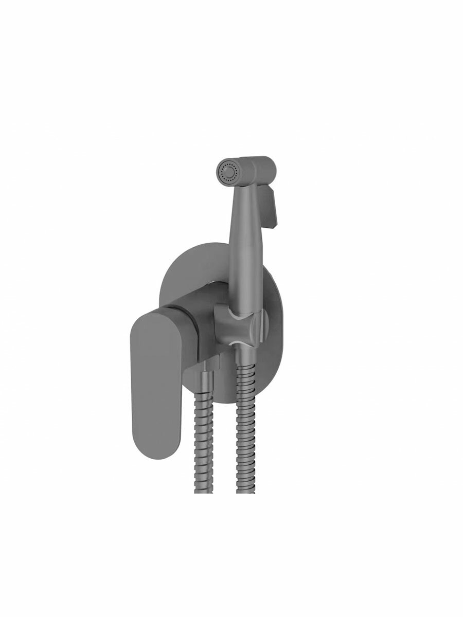 Встраиваемый смеситель для гигиенического душа Vieir V283551-G графит
