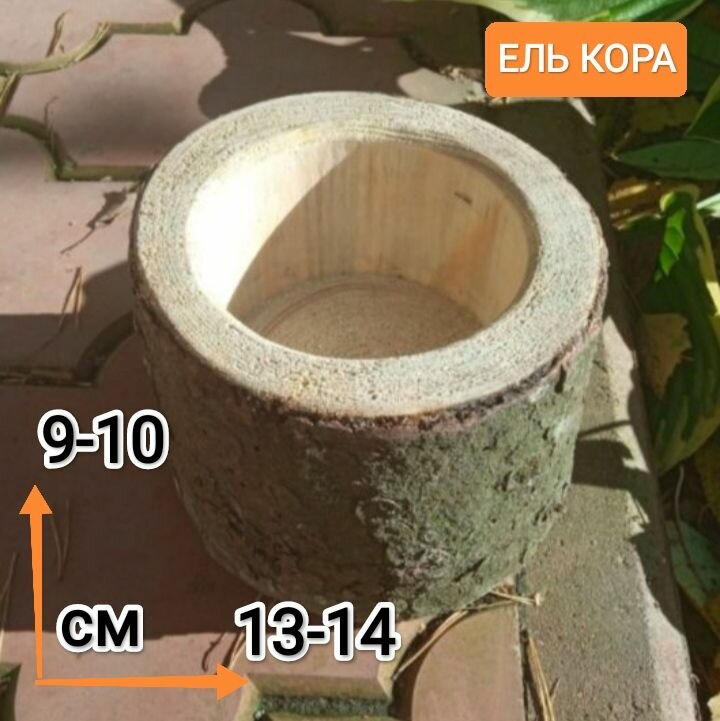 Кашпо-ваза "Пень" D13-14см высота 10см полено Ель с молодой корой для декора интерьера. Спил-срез бревна из лесу