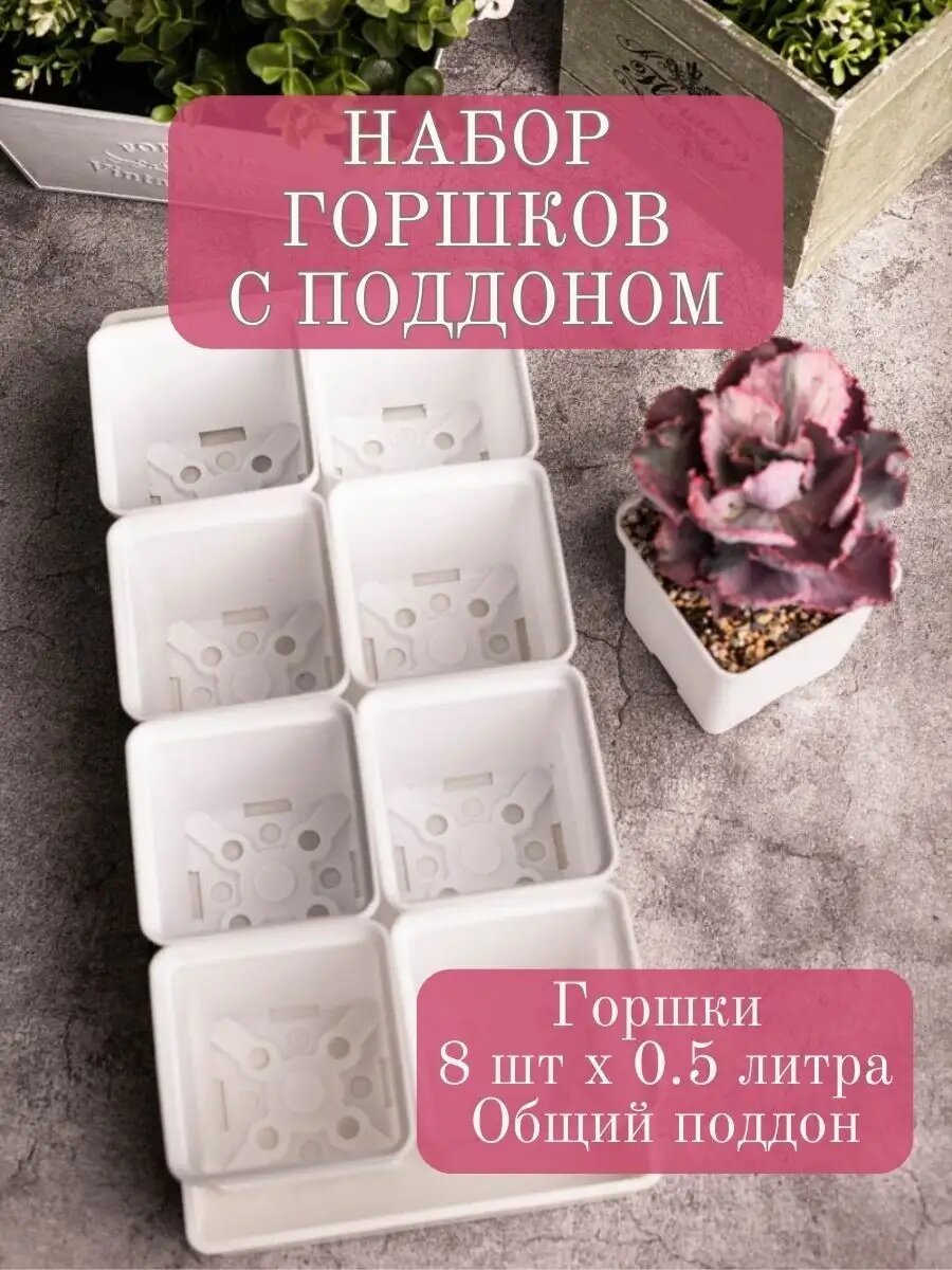 Набор горшки Garden Emili, пластик, 8 штук, белые, квадратные, дренажные отверстия