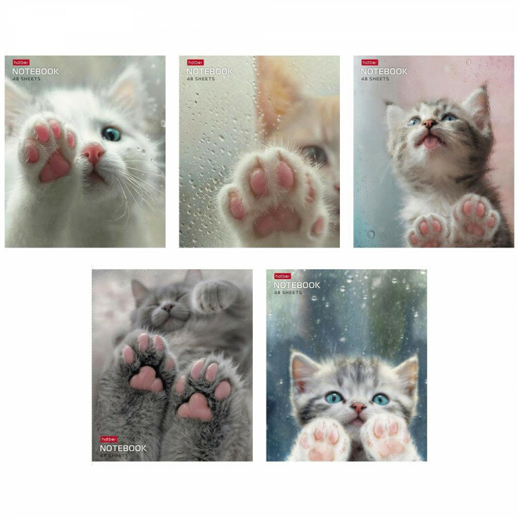 Тетрадь А5 клетка 48 листов скоба (Hatber) Розовые лапки ассорти арт.48Т5В1. Количество в наборе 5 шт.