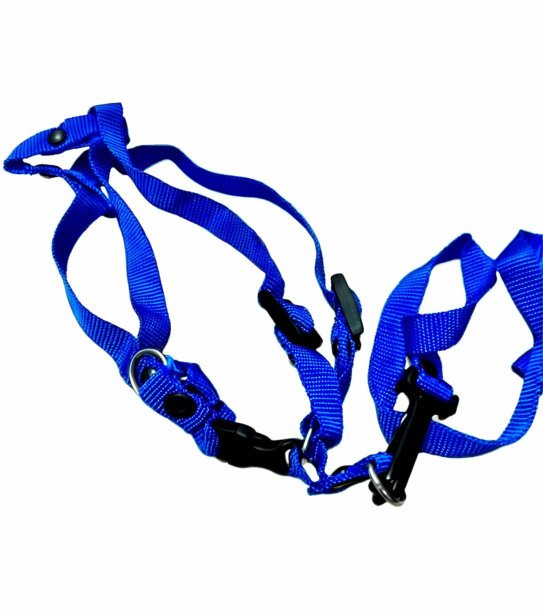 Комплект капроновый для кошек синий: шлейка 80-90см+ поводок 1,15-1,25 м, карабин