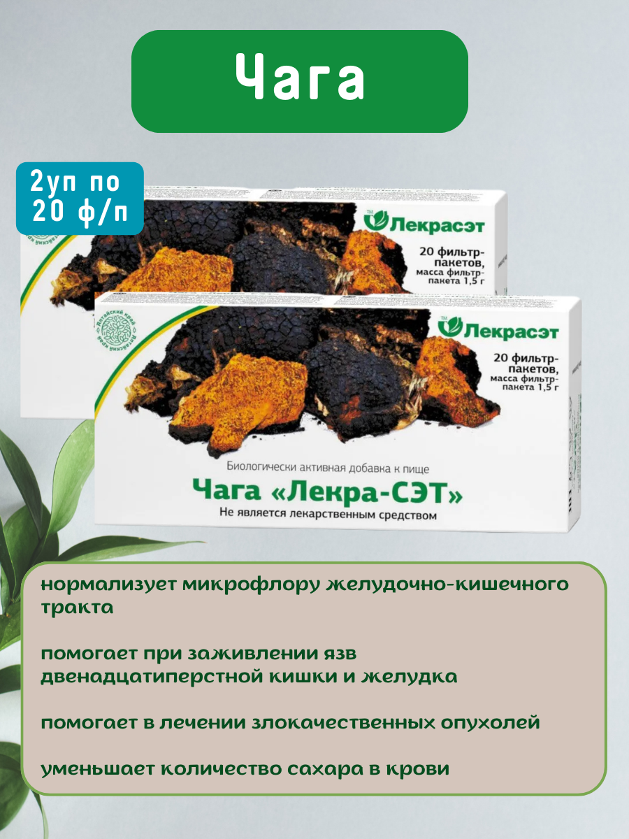 Лекра-сэт Чага березовая в пакетиках 2уп по 20 ф/пак