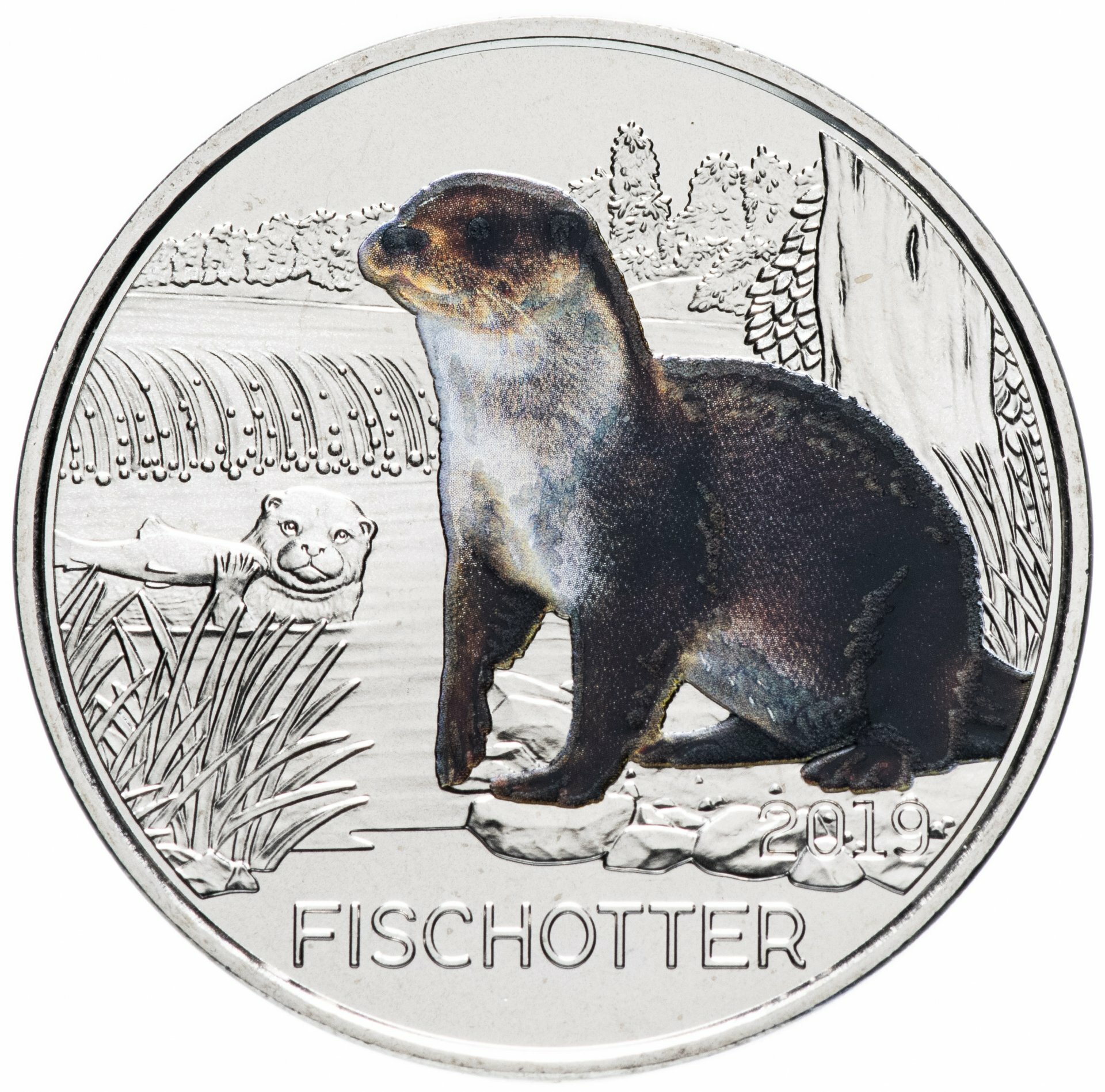 Австрия 3 евро 2019 Выдра, Мельхиор медь-никель, в сохранности UNC