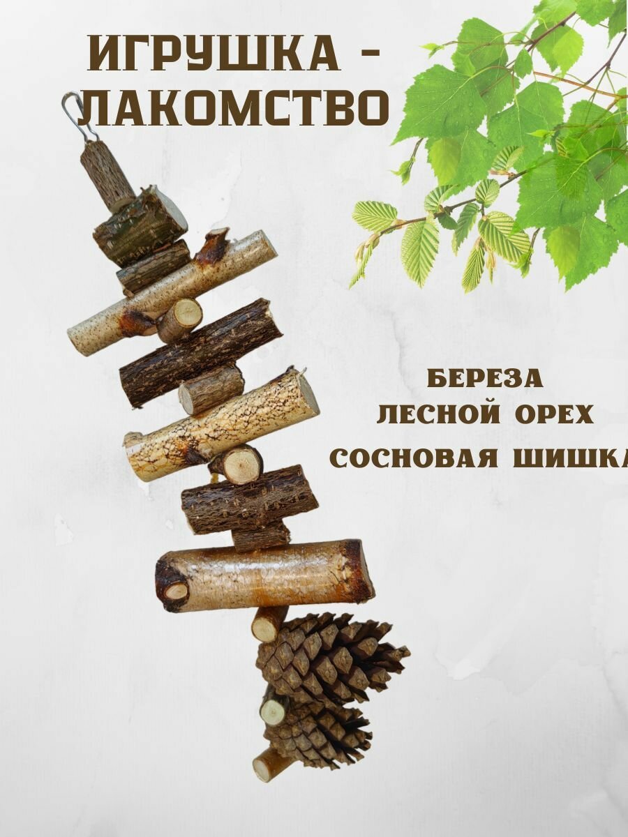 Игрушка лакомство для попугаев и грызунов / Подвесная игрушка в клетку