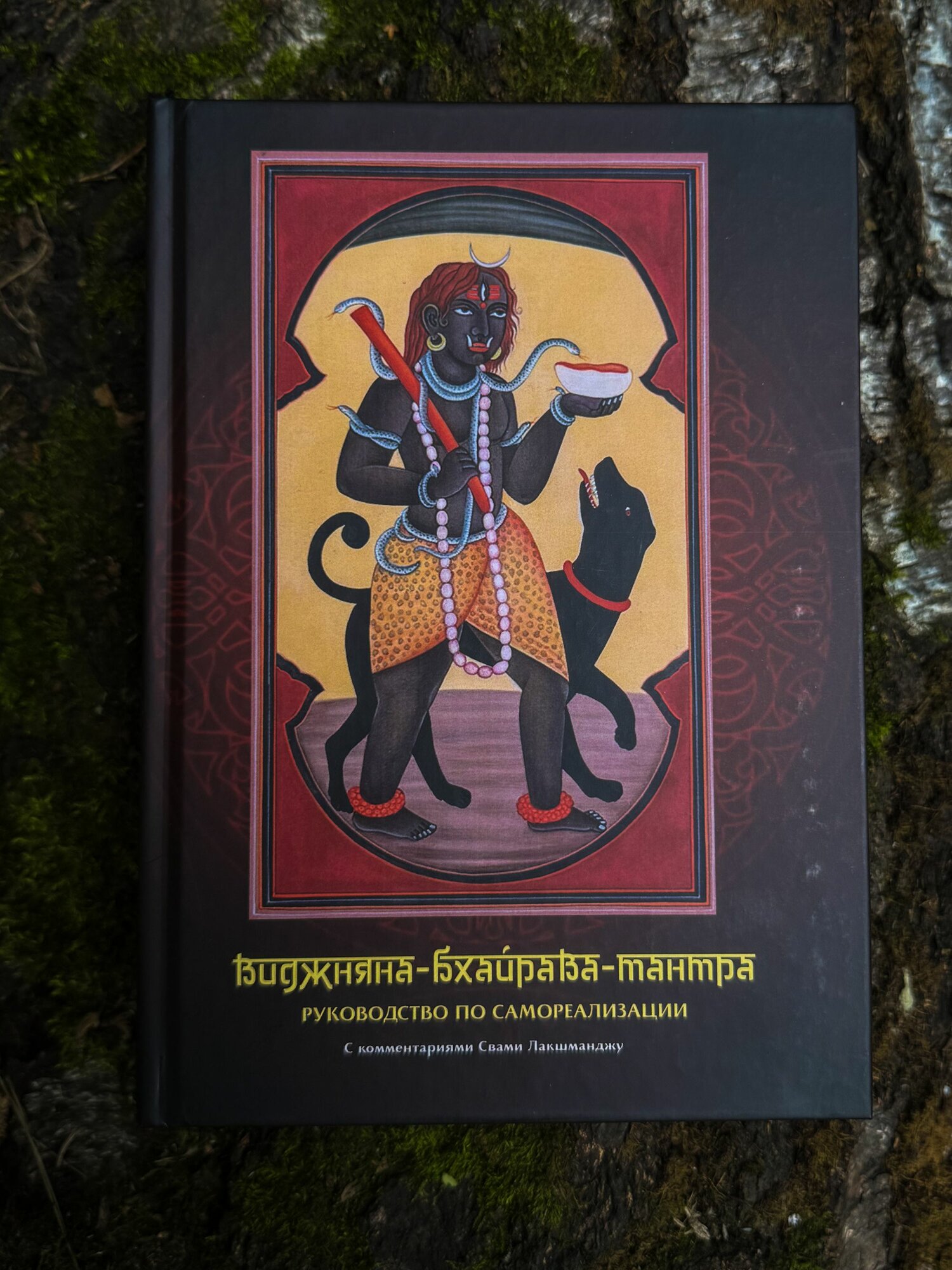 Виджняна-Бхайрава-тантра. Руководство по самореализации