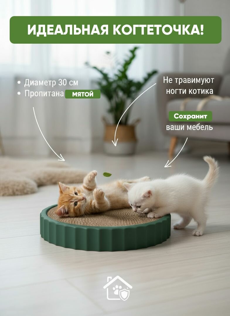 Когтеточка зелёная