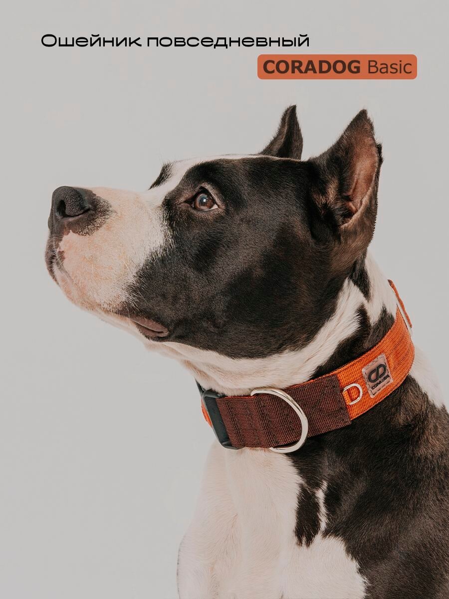Ошейник широкий повседневный, CORADOG Basic, для средних и крупных собак, терракотовый, коричневый, размер M-4 38-54 см