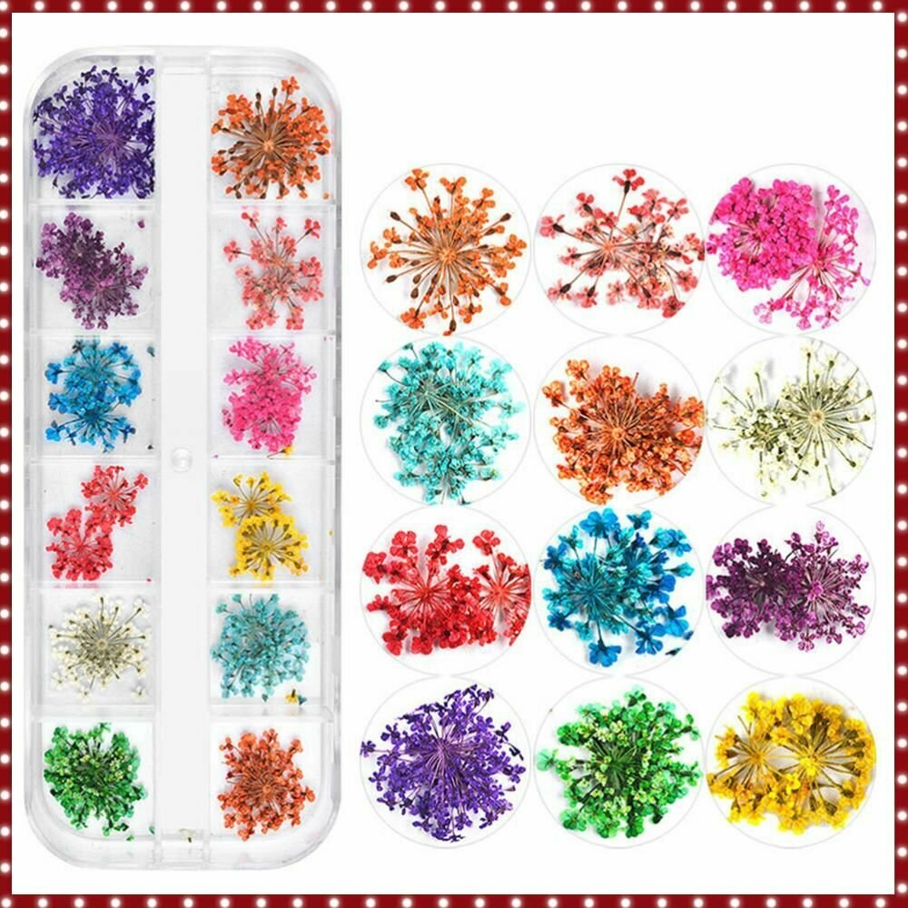 12 цветных сухоцветов Как показано