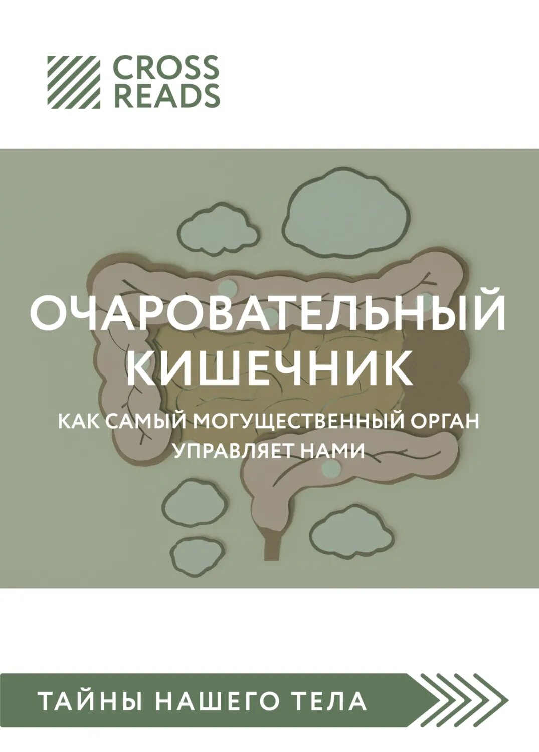 Саммари книги «Очаровательный кишечник. Как самый могущественный орган управляет нами» [Цифровая книга]