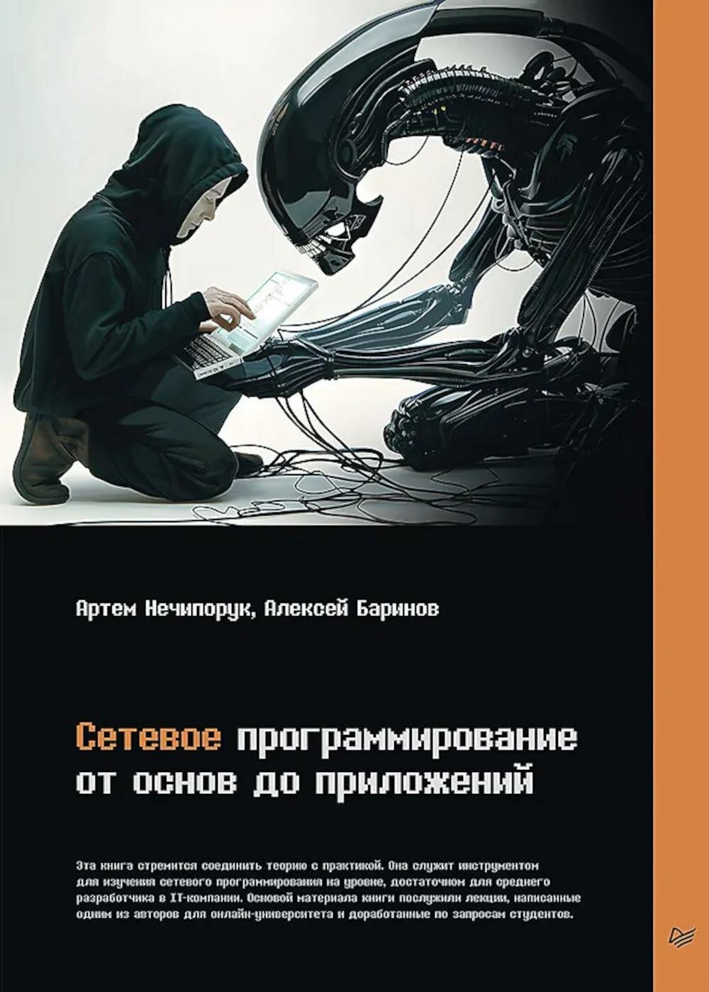 Учебное пособие Питер "Сетевое программирование. От основ до приложений", Нечипорук А, Баринов А, 2025 г